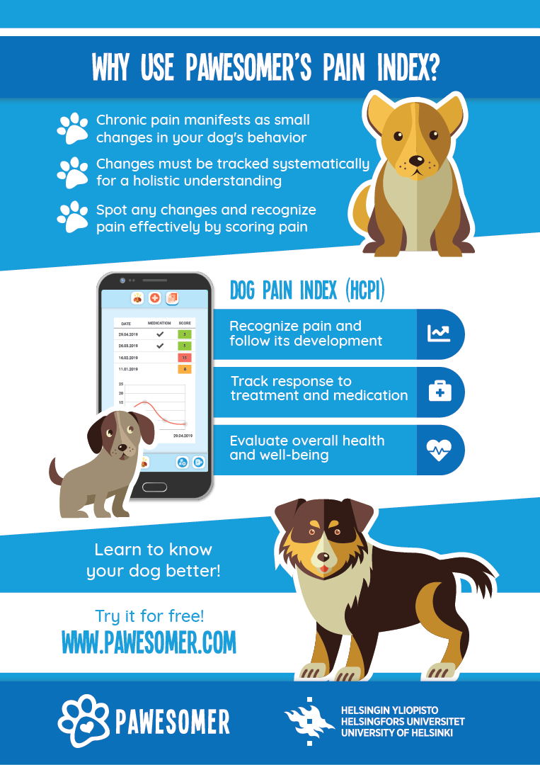 Pain in dogs and how to recognize it – the Helsinki pain index for dogs ...